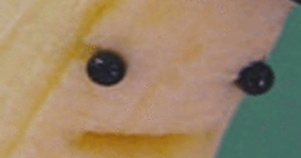 JJJJD on SubscribeStar.adult